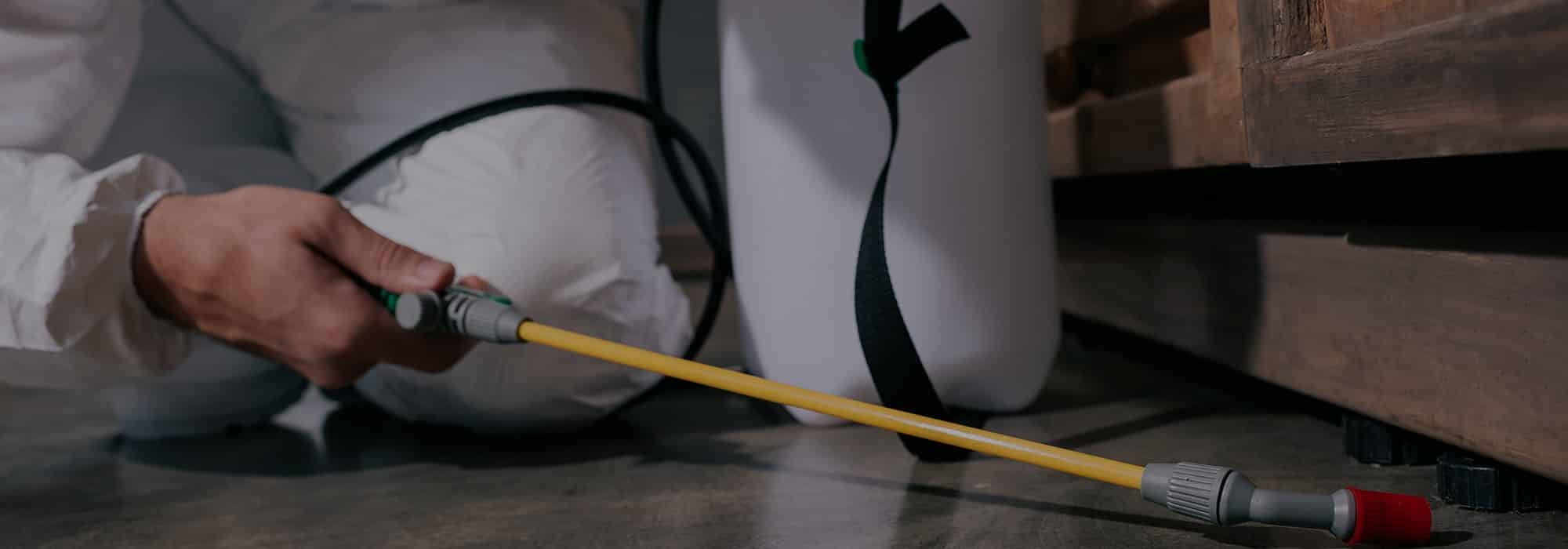 Bolo Pest Control Services in Lehigh Acres, FL - Free Estimates